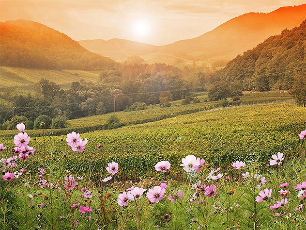 Sommarsemester 2025 | Hotell till bilsemestern från Sverige till Italien